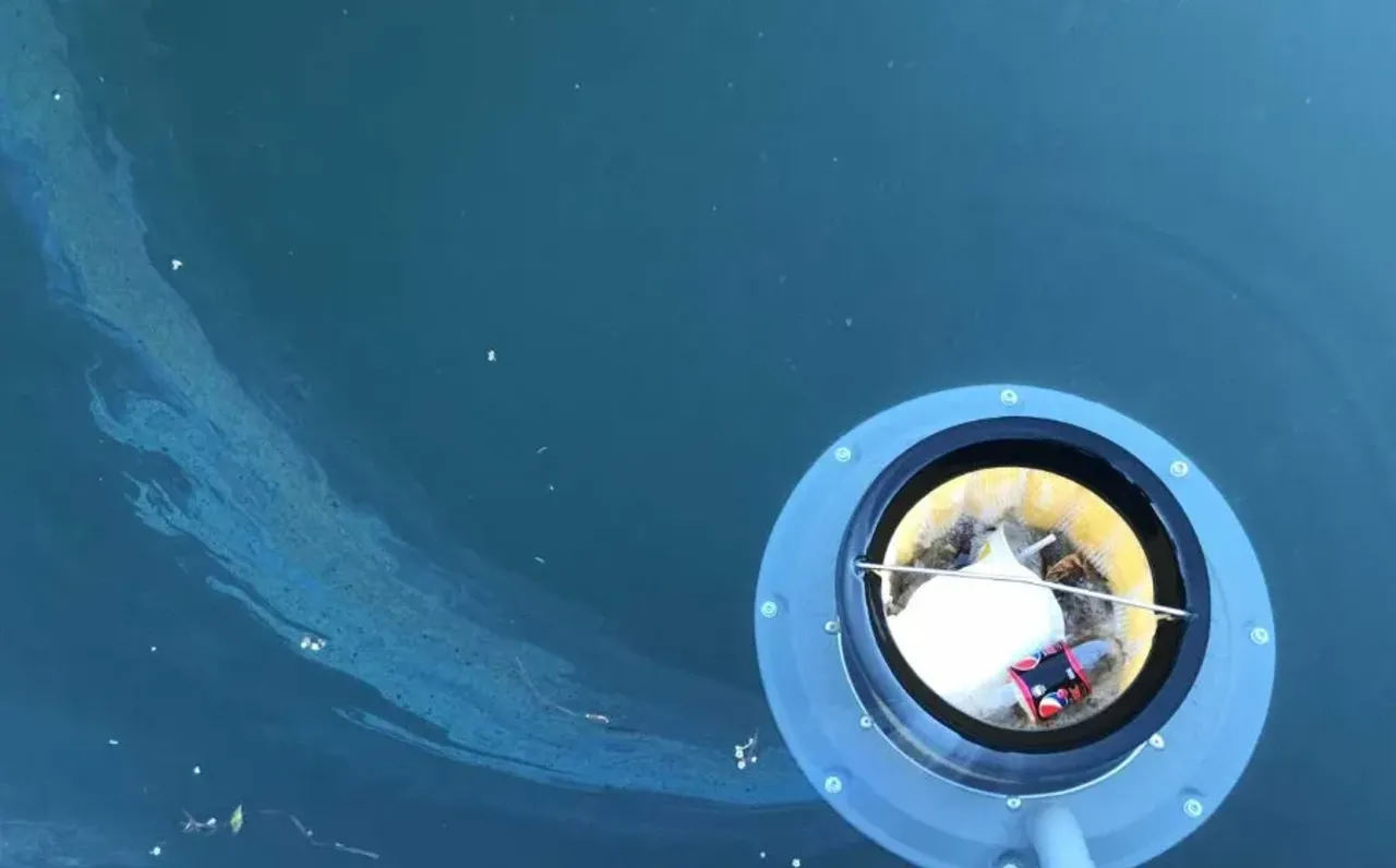 Устройство Seabin для сбора пластикового мусора погубило много морских ...